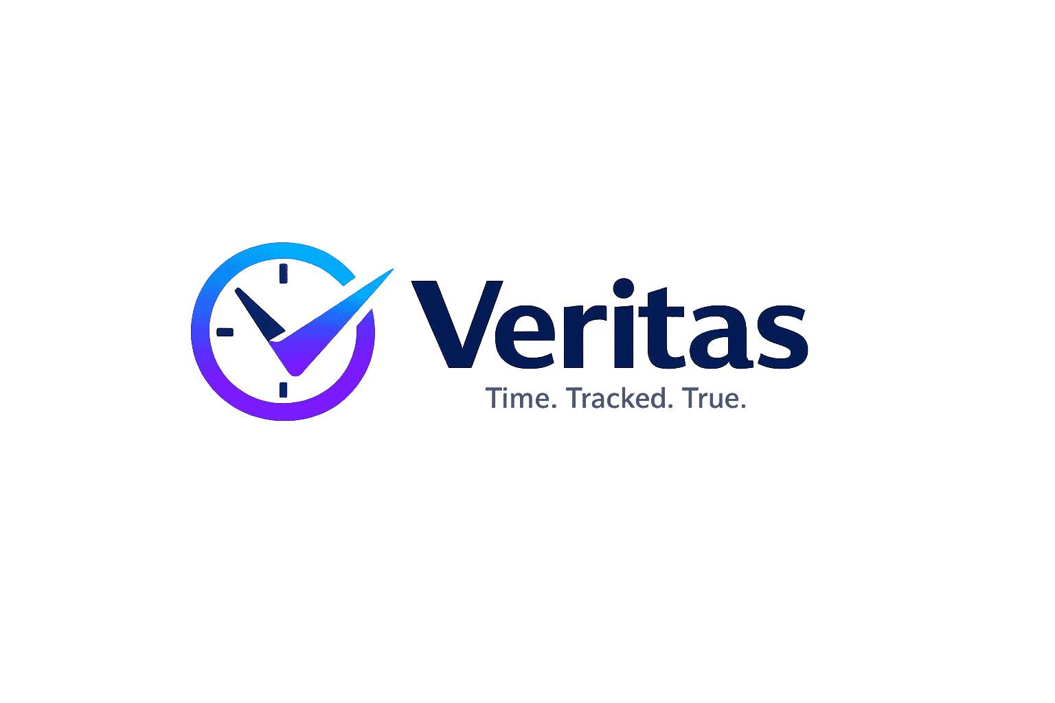Veritas | Privacy-First Time Intelligence & Workforce Analytics